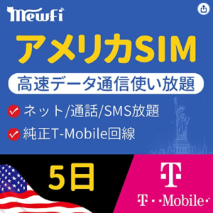 ハワイ旅行におすすめのSIMカードは？使い方・購入方法・注意点を解説